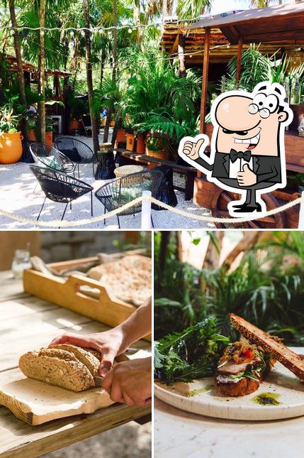Breakfast Tulum restaurant, Tulum - Restaurant reviews