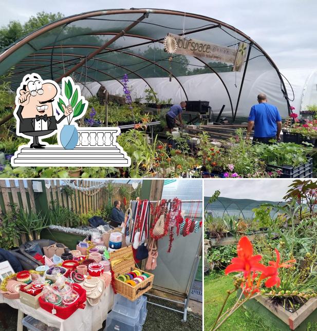 Yourspace.sutton community garden cafe in Sutton - Restaurant reviews