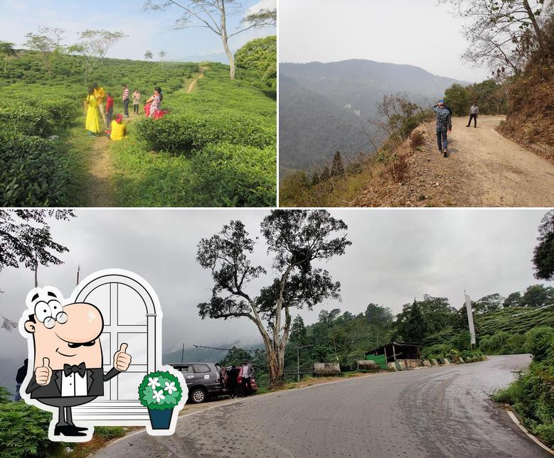 Peshok view point, Peshok Tea Garden - Restaurant reviews