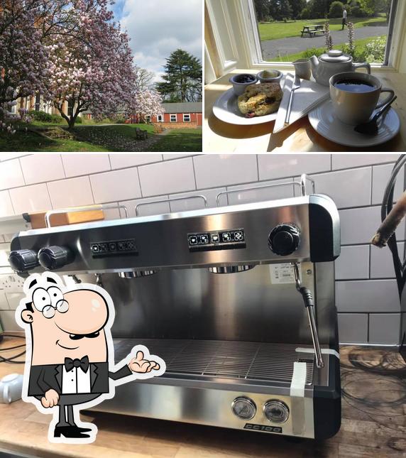 World Peace Café, Ashe Hall, Ash Ln in Derby - Restaurant menu and reviews