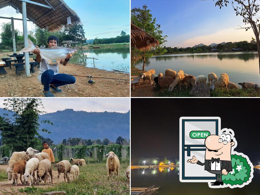 บ้านกิ๊กคาเฟ่&ฟิชชิ่ง restaurant, Lum Sum - Restaurant reviews