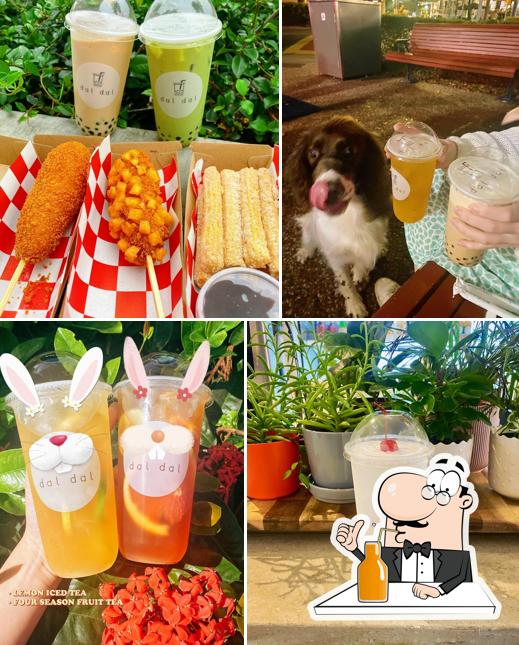 dal dal in Bulimba - Restaurant reviews