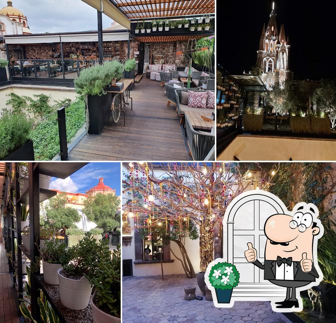 Atrio Restaurant, San Miguel de Allende - Restaurant reviews