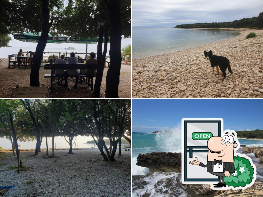 Luna Beach Bar, Rovigno - Recensioni del ristorante