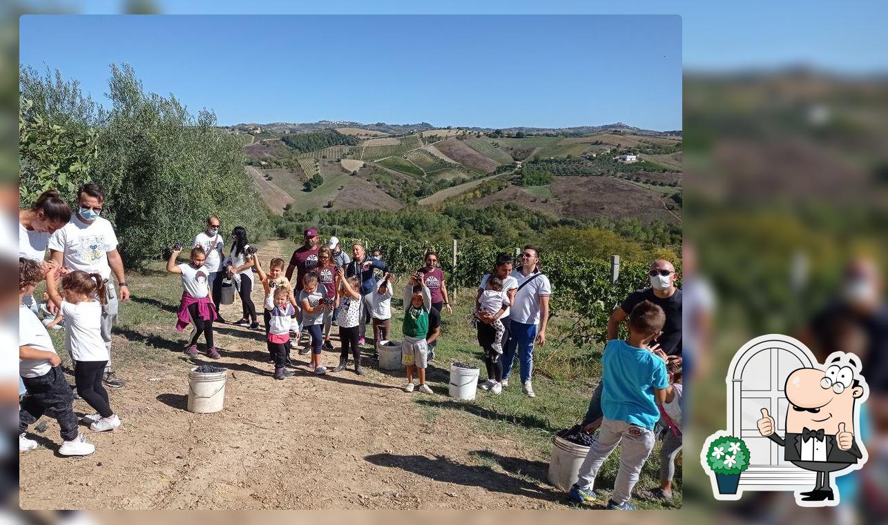 Best italian restaurants in Spinetoli, summer 2024 - Restaurant Guru