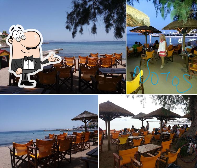 Cafe Notos, Egina - Restaurant reviews