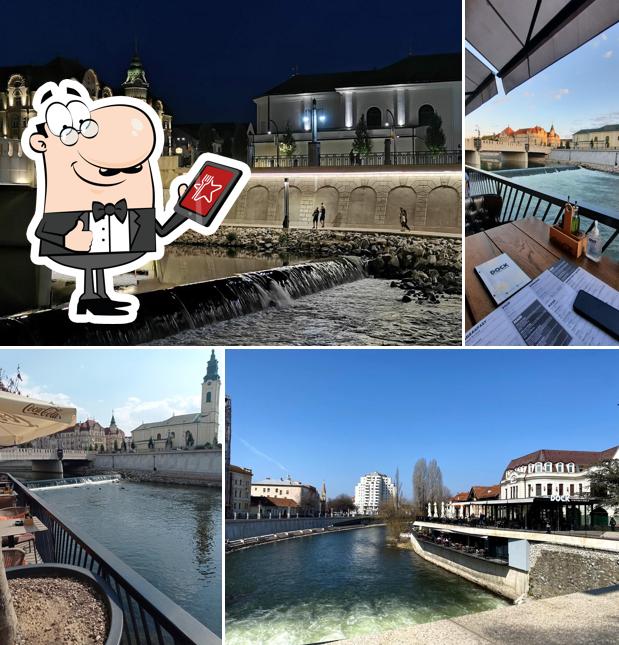 Dock, Oradea - Restaurant reviews
