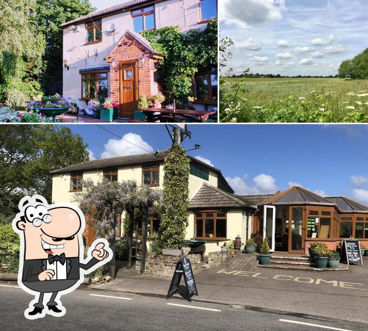 The Alma Arms Freehouse in Navestock - Restaurant menu and reviews