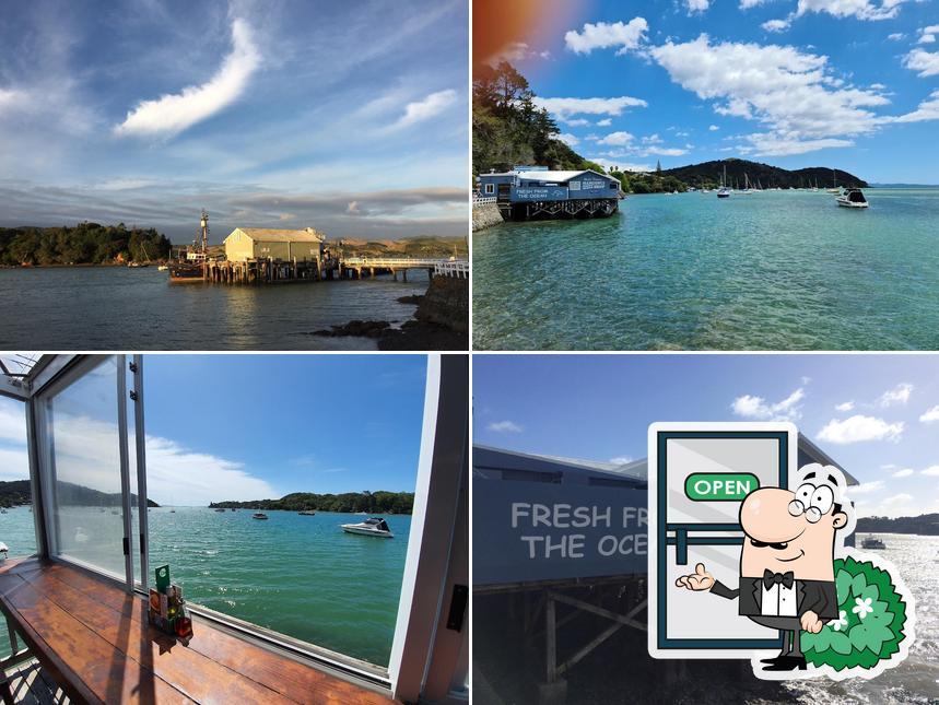 Mangonui Fish Shop, Mangonui - Restaurant menu, prices and reviews