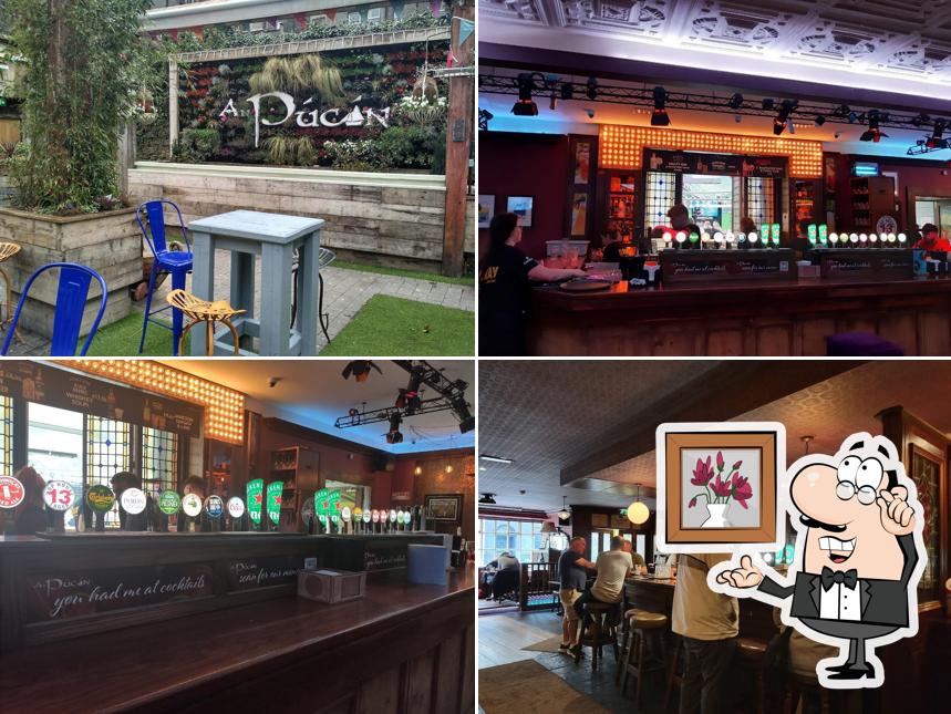An Púcán, Galway - Restaurant menu, prices and reviews