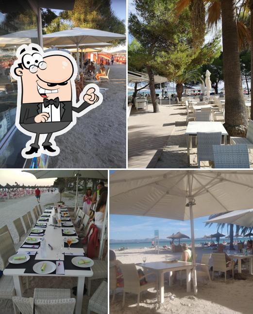 Playero in Port d'Alcúdia - Restaurant reviews