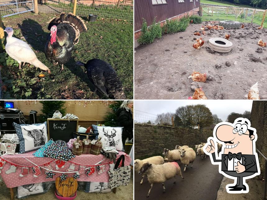 Whirlow Hall Farm Trust in Sheffield - Restaurant reviews