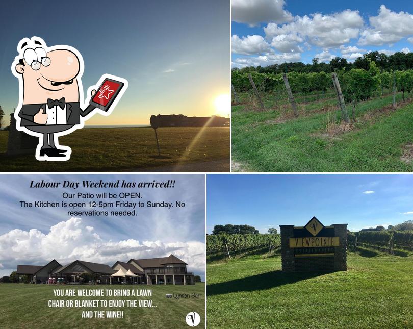 Viewpointe Estate Winery in Amherstburg - Restaurant reviews