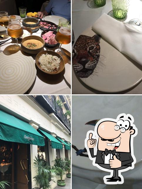 Amazónico in Madrid - International restaurant menu and reviews