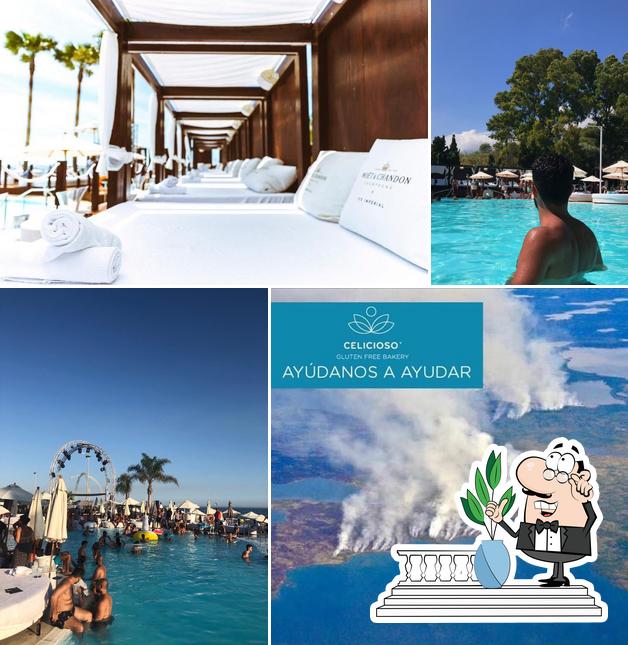Opium Beach Club Marbella in Marbella - Restaurant menu and reviews