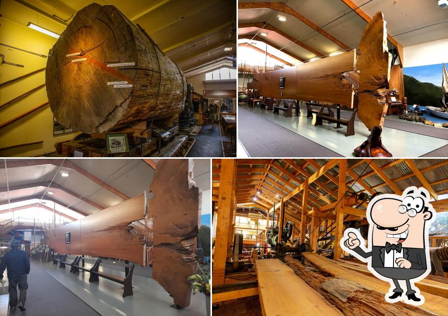 The Kauri Museum in Matakohe - Restaurant reviews