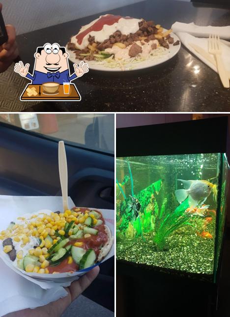 Nesbru kebab pizzeria, Asker - Restaurant reviews