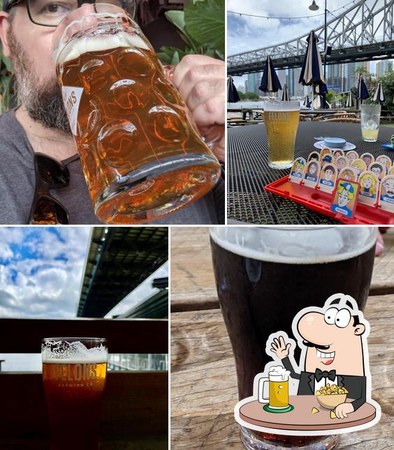 Felons Brewing Co in Brisbane City - Restaurant menu and reviews