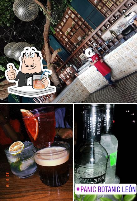 Panic Botanic León, Leon - Menú del restaurante, precios y reseñas
