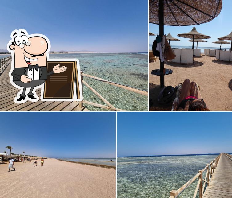 Beach Bar, Sharm El-Sheikh, 3C4Q+QP7 - Restaurant reviews