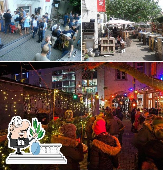 Café POW, FREIBURG IM BREISGAU - Speisekarte, Preise und Bewertungen
