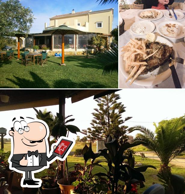 Zephyros Taverna, Acharavi - Restaurant menu and reviews