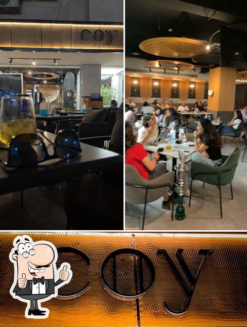 Coy Restaurant, Cairo - Restaurant reviews