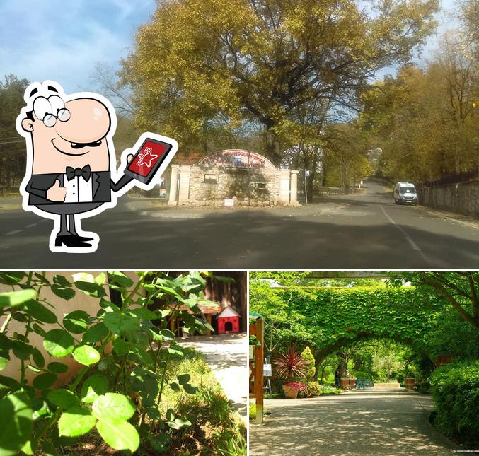 Terasa din curte, Bucharest