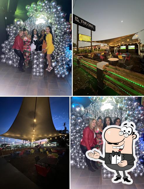 the owl lounge in Brandon - Restaurant reviews