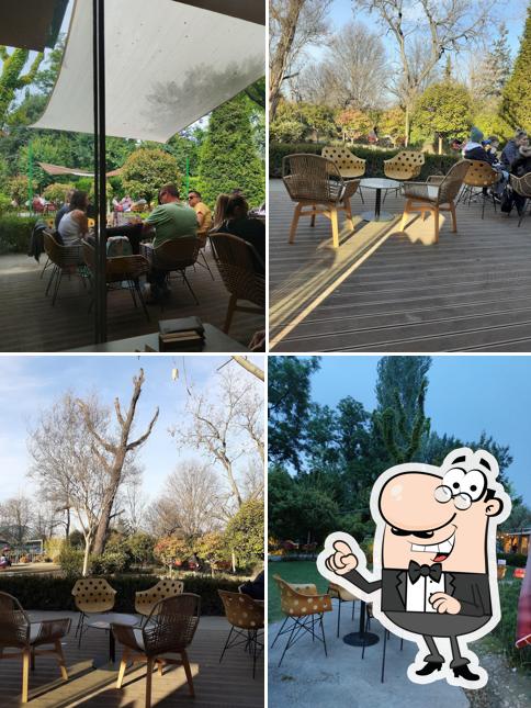 Leaf Cafe, Skopje - Restaurant reviews
