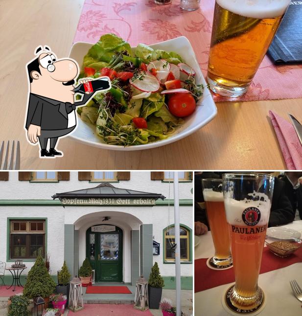 Landgasthof Probst, Weil - Restaurant menu, prices and reviews