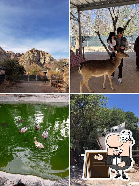Bonnie Springs Ranch Restaurant, Blue Diamond - Restaurant menu, prices ...