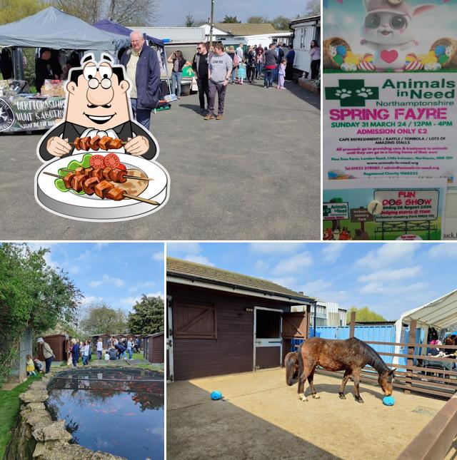 Vegan Cafe - Animals in Need in Wellingborough
