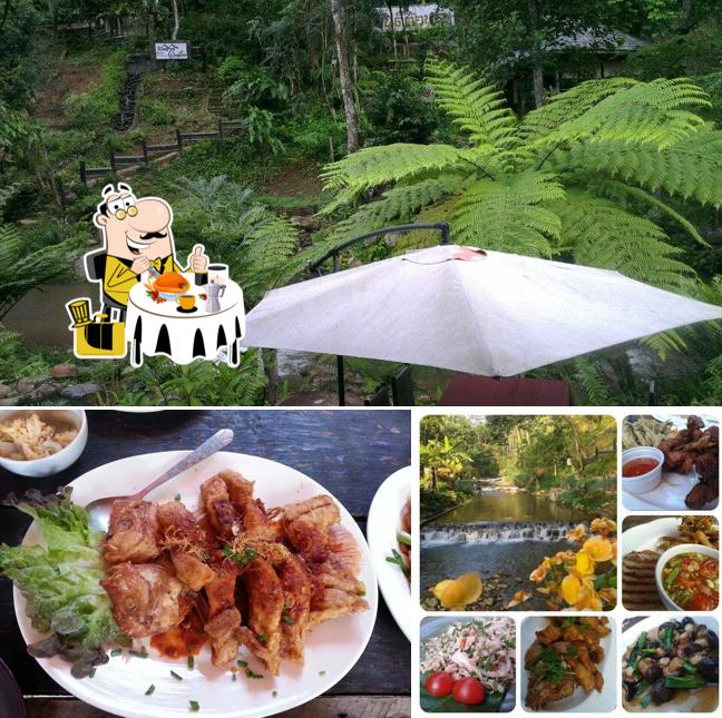 Nine One Coffee ริมธารบ้านเมี่ยง cafe, Pa Miang, 28VR+XVG - Restaurant ...