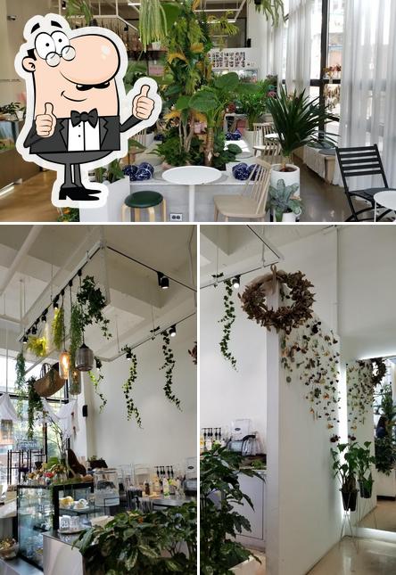 Orange Tree Cafe, Seoul - Restaurant reviews