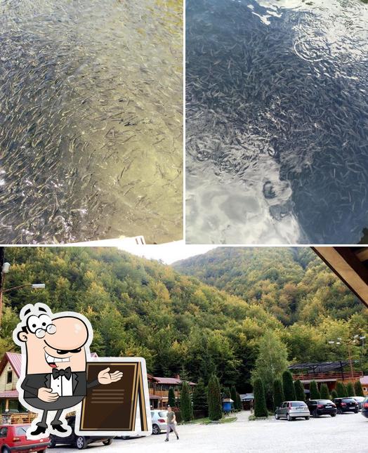 Hotel Rugova Camp restaurant, Kosovo - Restaurantbewertungen