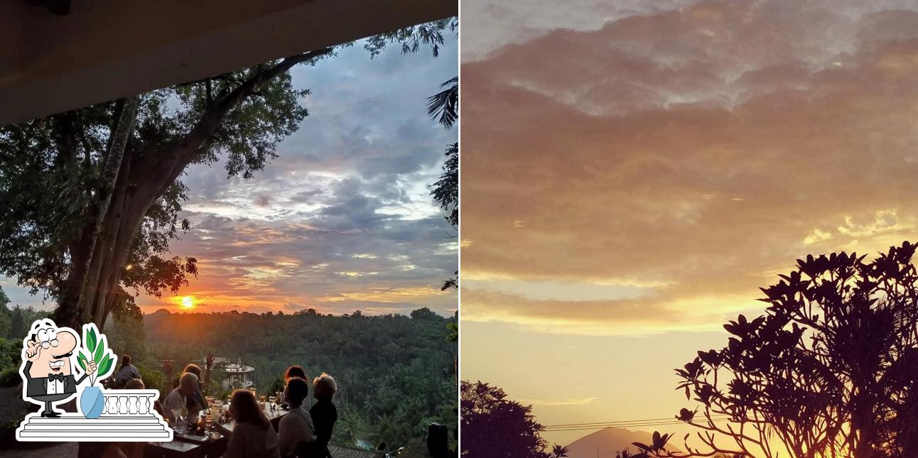 Sayan Point, Ubud - Restaurant menu, prices and reviews