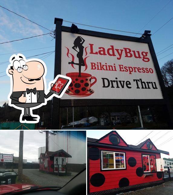 Ladybug Espresso, Tacoma - Restaurant menu, prices and reviews