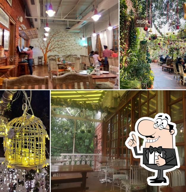 Diggin, New Delhi, Green Park - Restaurant menu, prices and reviews