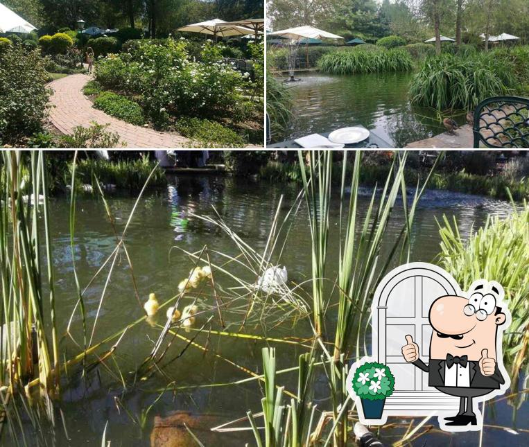 Buitengeluk Broadacres restaurant, Randburg - Restaurant reviews