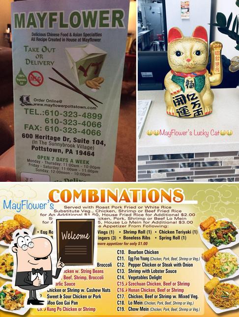 Mayflower Chinese Restaurant in Pottstown - Restaurant menu and reviews