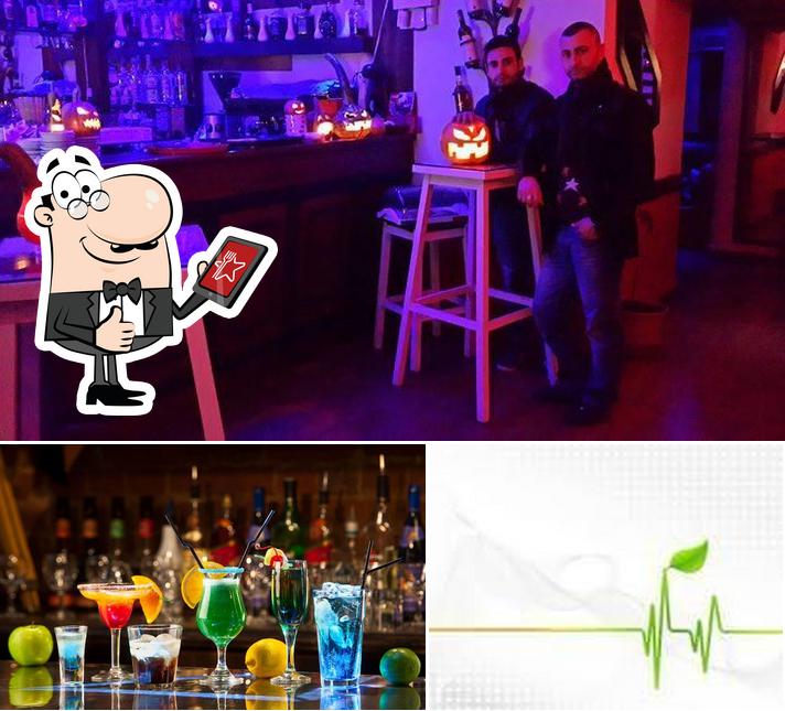 Log In Bar, Tirana