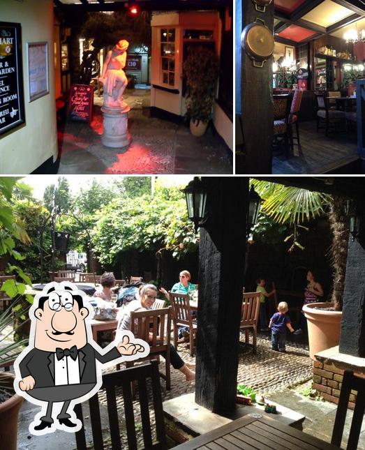White Hart, Exeter - Restaurant menu, prices and reviews