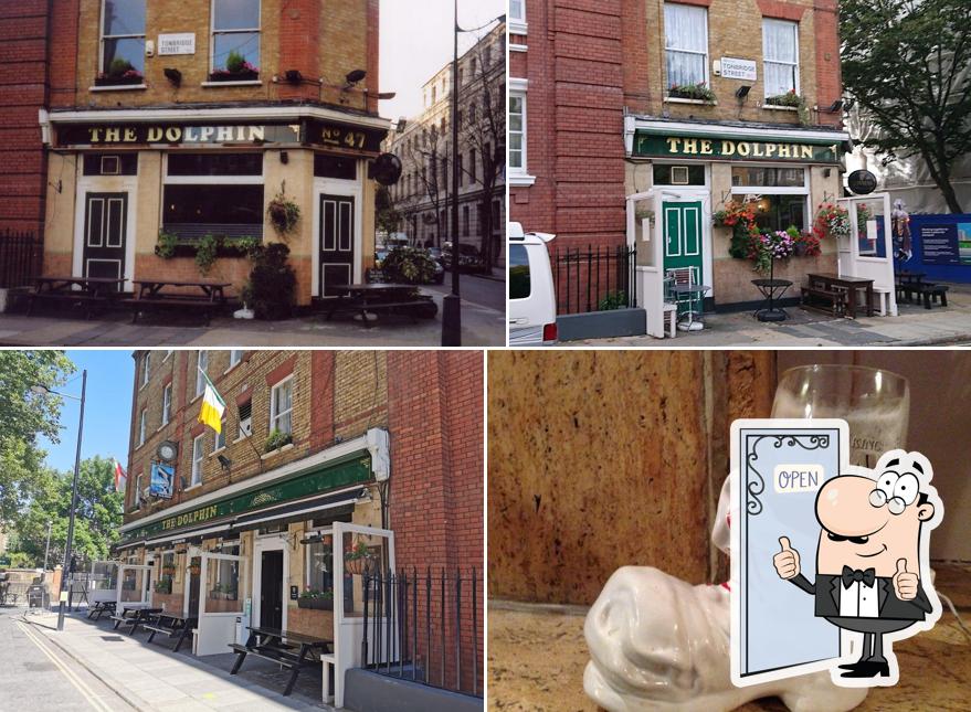 The Dolphin Pub, 47 Tonbridge St in London - Restaurant menu and reviews
