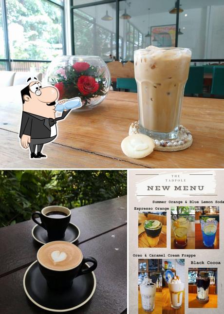 The Tadpole Cafe, Bangkok - Restaurant reviews