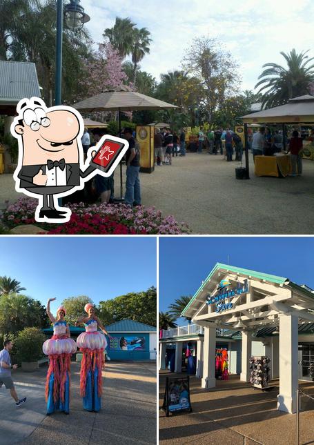 SeaWorld Orlando in Orlando