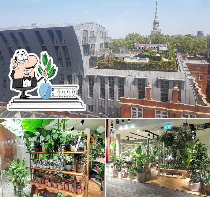 Islington Square in London - Restaurant reviews