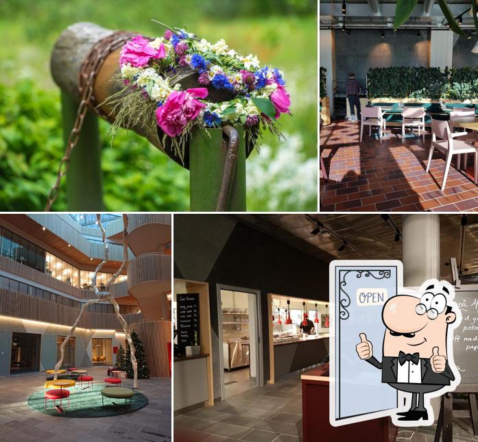Restaurang Hubben, Uppsala - Restaurant menu, prices and reviews