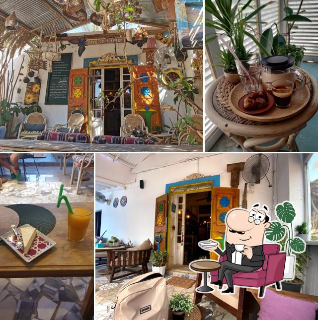 Shanti shanti cafe, Dahab - Restaurant reviews