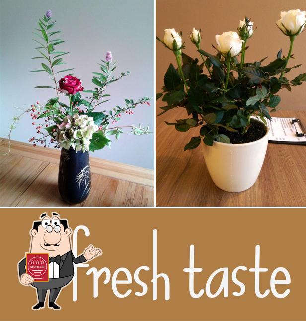 fresh taste, Hamburg - Speisekarte, Preise und Bewertungen